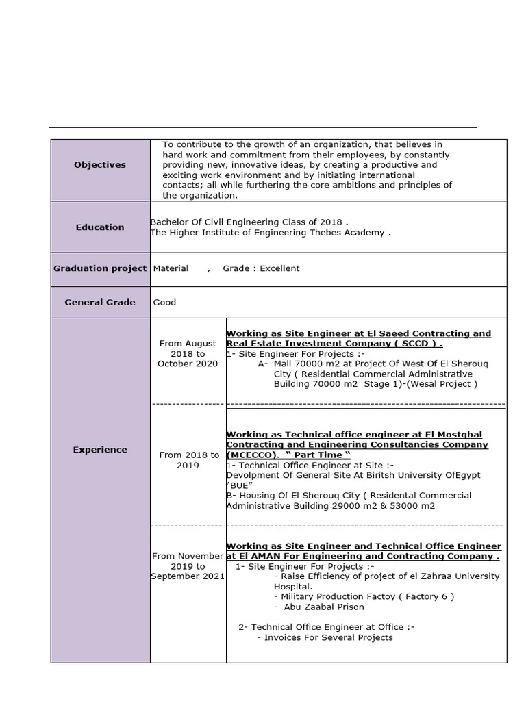 Mostafa CVv | PDF | Engineering