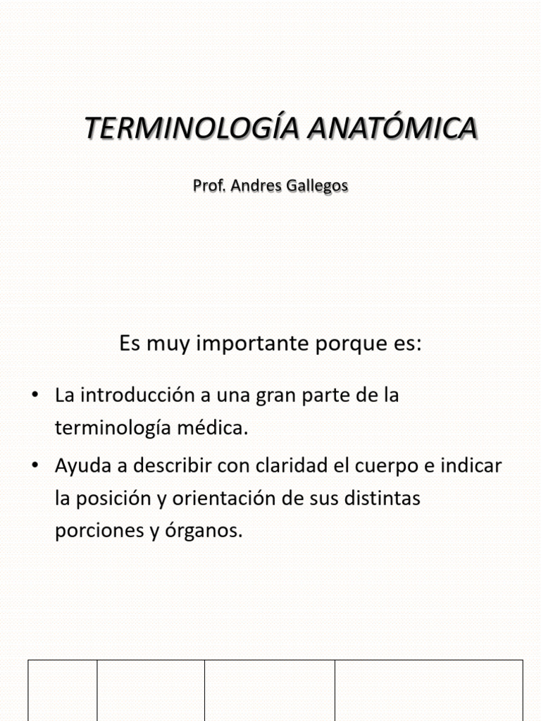 Terminología Anatómica Esencial | PDF | Abdomen | Términos anatómicos ...