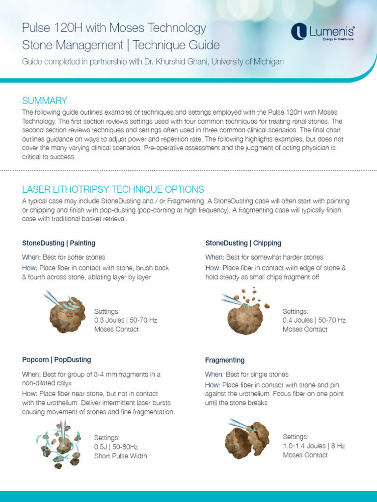 Moses Stone Guide_letter PB-2009803 Rev B_web | PDF