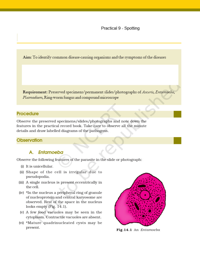 Biology Practical 9 Disease Causing Organisms | PDF | Medical Specialties | Microbiology
