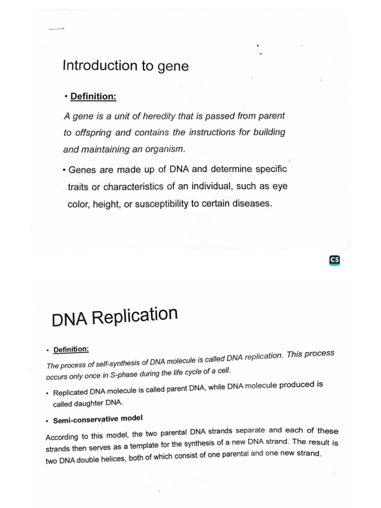 Gene expression | PDF