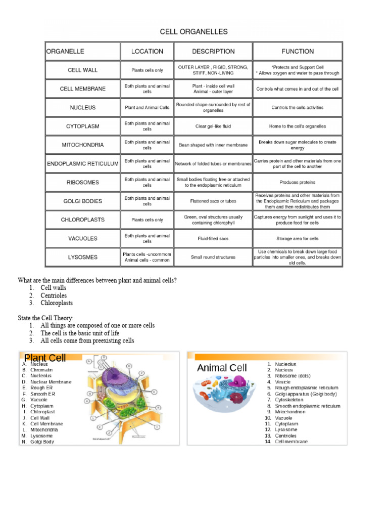 biology notes | PDF