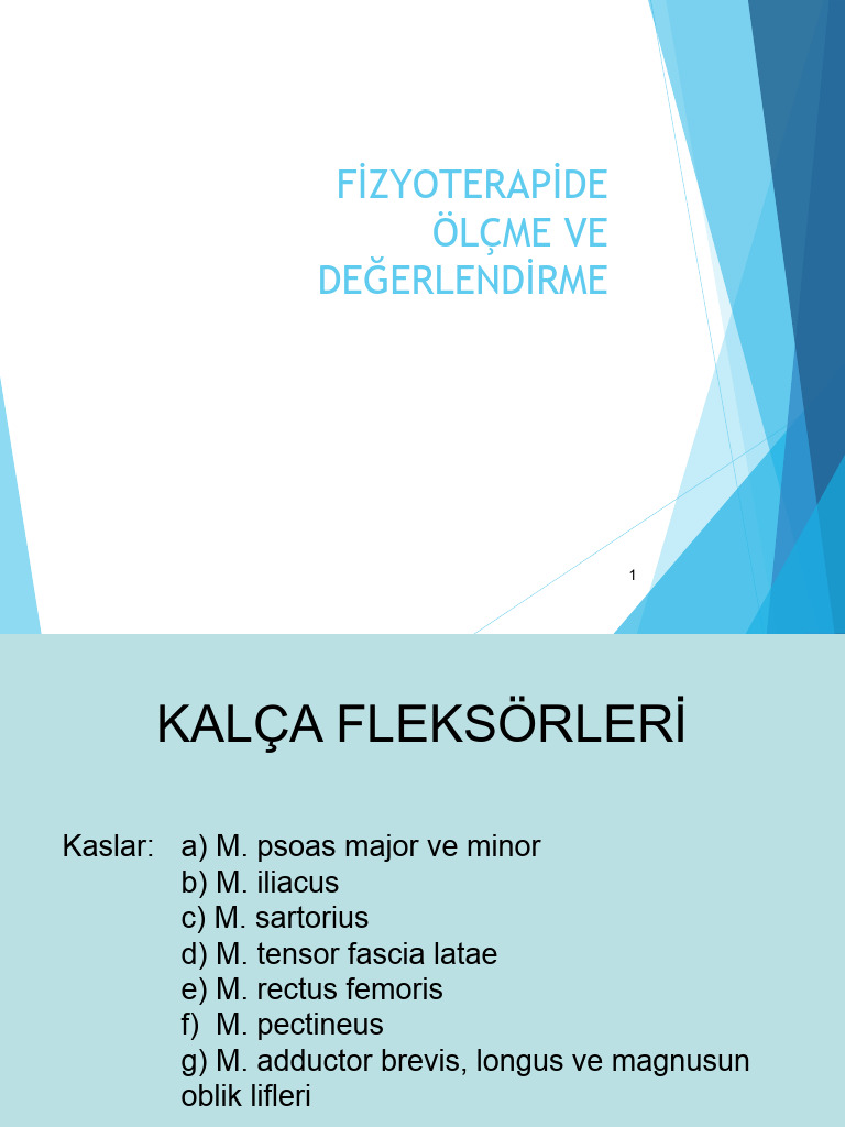 Httpsacikders Ankara Edu Trpluginfile Php84185mod - Resourcecontent1alt-Ekstremite-Kas-Kuvveti ...