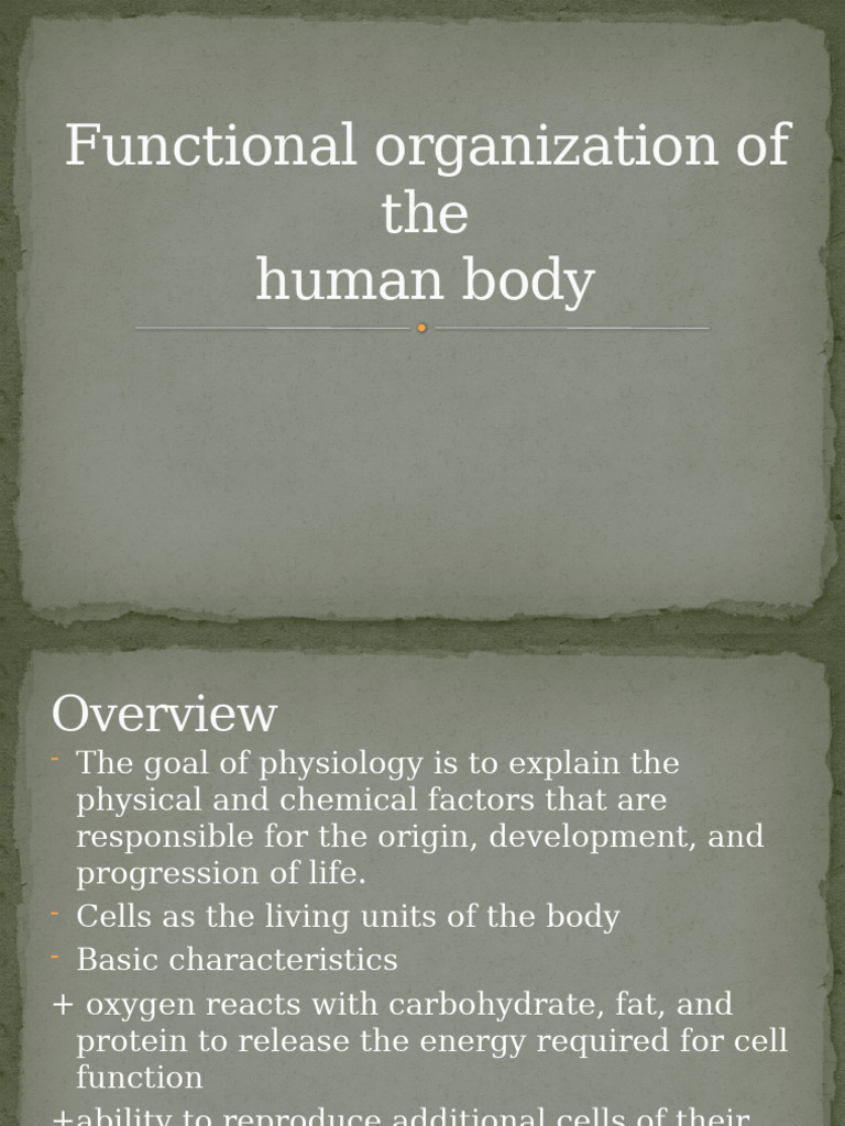 1.main Points of Human Body | PDF | Nervous System | Homeostasis