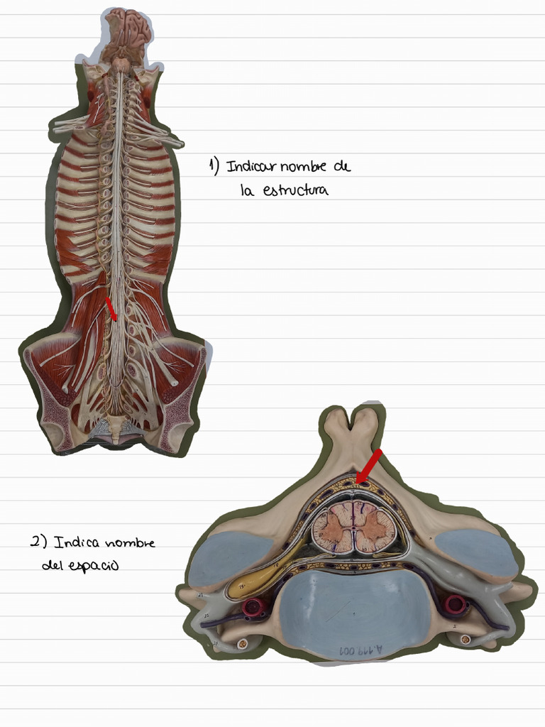 Gincana 2 Forma B | PDF