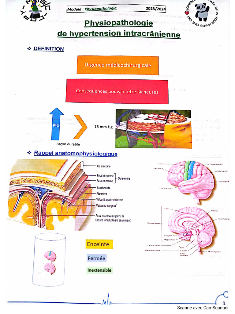 Physiopathologie d'HIC | PDF
