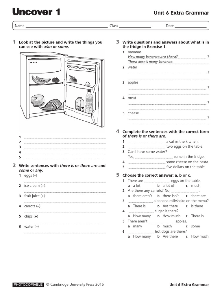 Unit 6 Grammar Extra | PDF