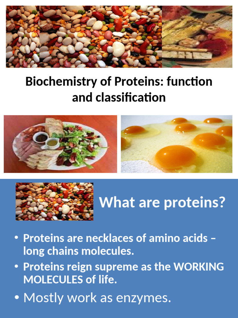 Biochemistry of Proteins, Structure and Functions | PDF