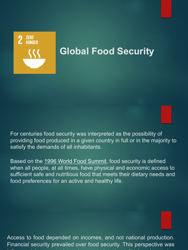 Global Food Security | PDF | Food Security | Poverty