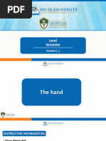 Palmar Hand Anatomy Overview | PDF | Hand | Musculoskeletal System