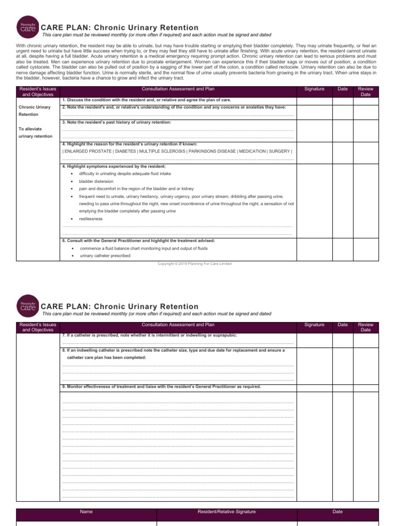 Chronic Urinary Retention Care Plan 2019 | PDF | Urinary Incontinence ...