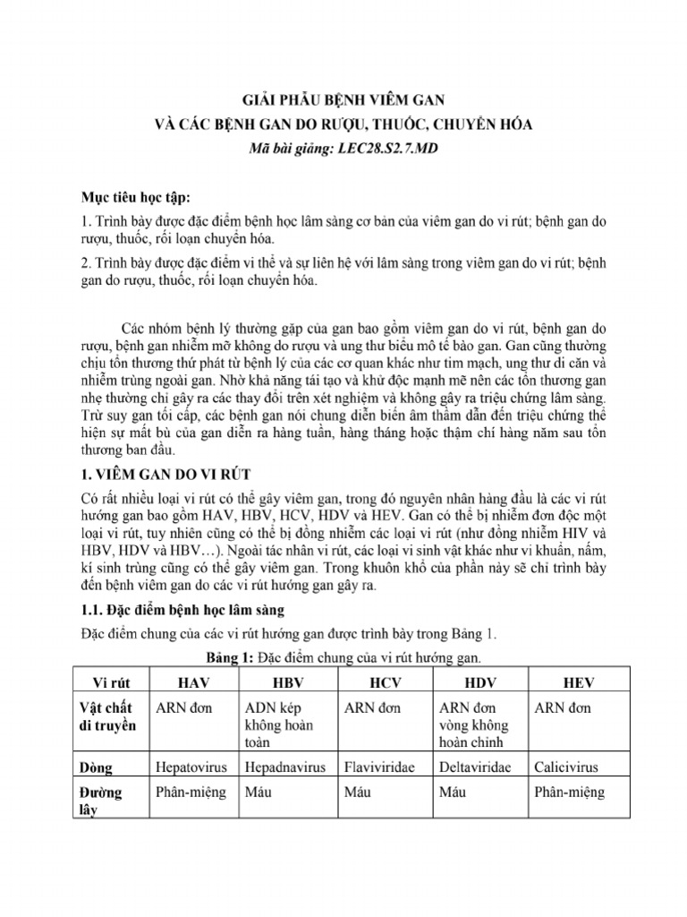 Giao Trinh GPB Viem Gan Va Cac Benh Gan Do Ruou Thuoc Chuyen Hoa. | PDF