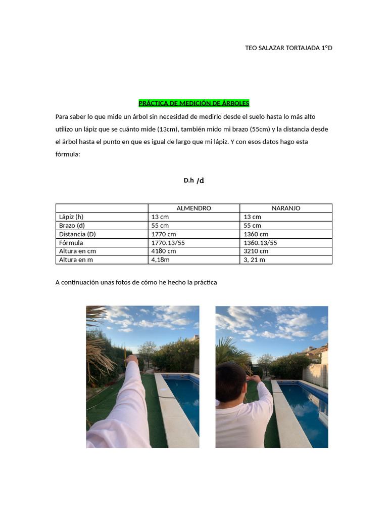 Práctica Árboles | PDF