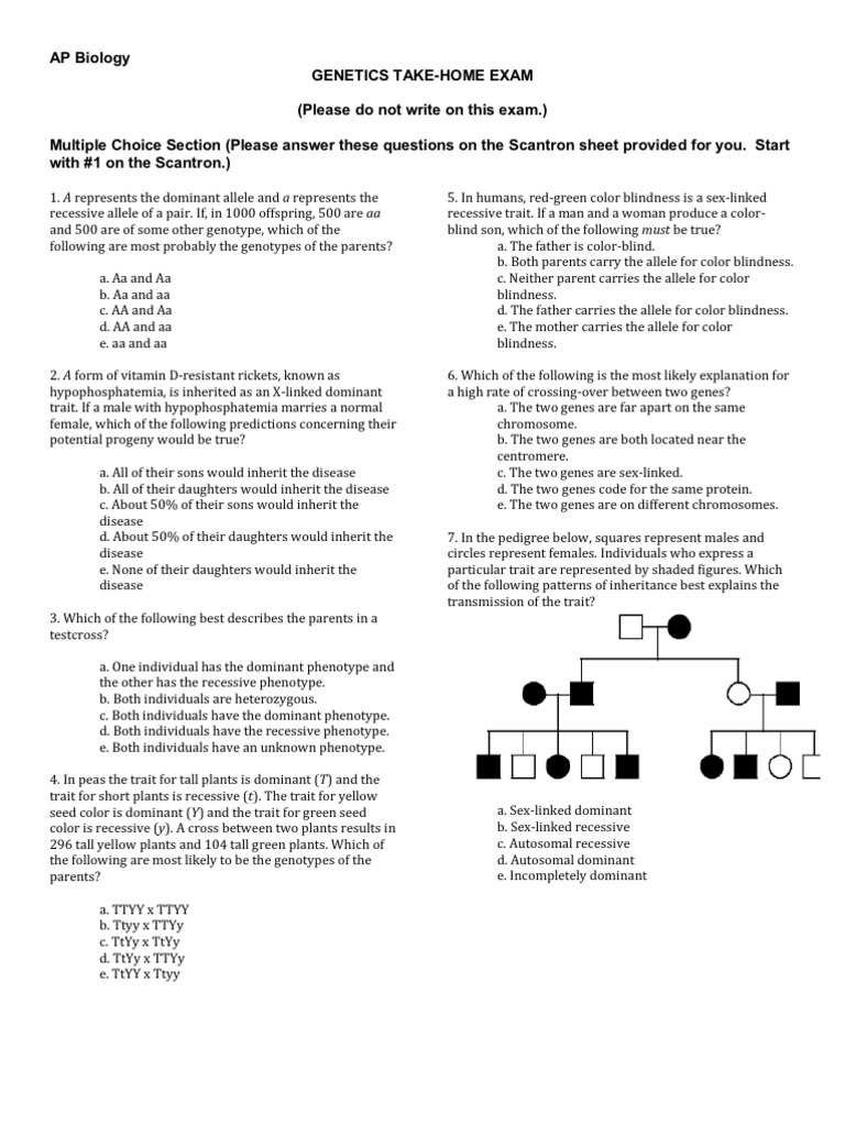 Genetics Exam No Answers | PDF | Dominance (Genetics) | Gene