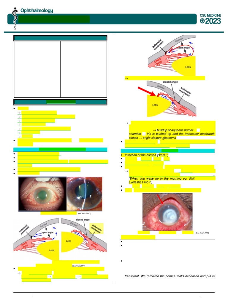 2023.ophtha - Trans03.Ophthalmic Emergencies | PDF | Glaucoma | Retina