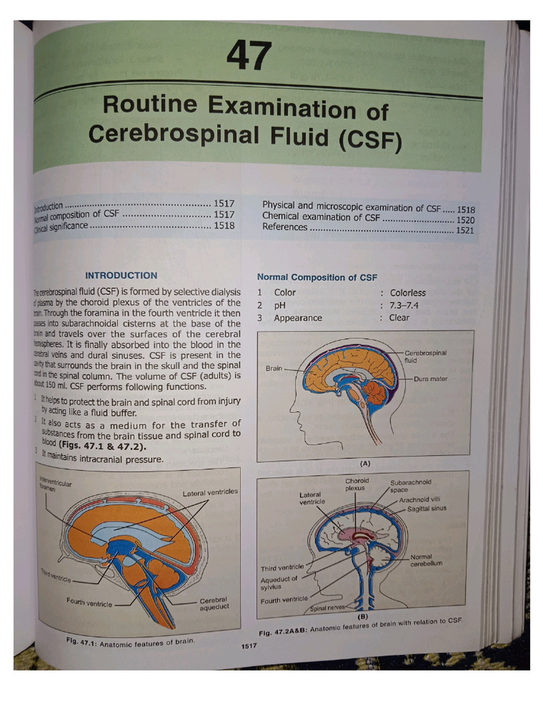 Routine CSF Examination | PDF