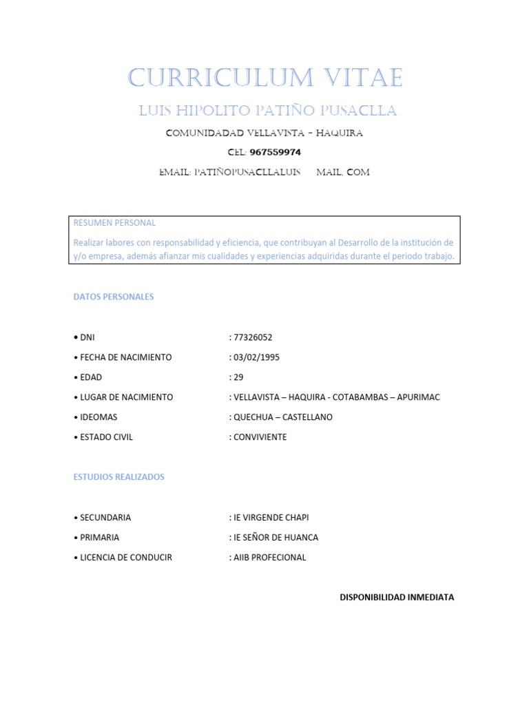 LUIS CV (Autoguardado) (1) | PDF