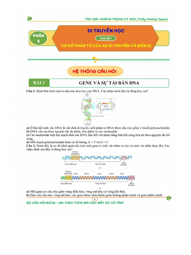 Sinh Hoc 12 Bo 1000 Cau Hoi Dung Sai Theo Bai Hoc | PDF