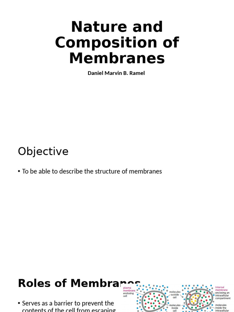 Nature-and-Composition-of-Membranes | PDF | Cell Membrane | Lipid Bilayer