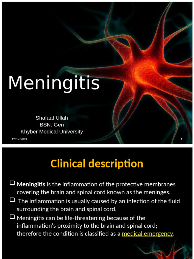 Understanding Meningitis: Causes and Treatment | PDF | Meningitis ...