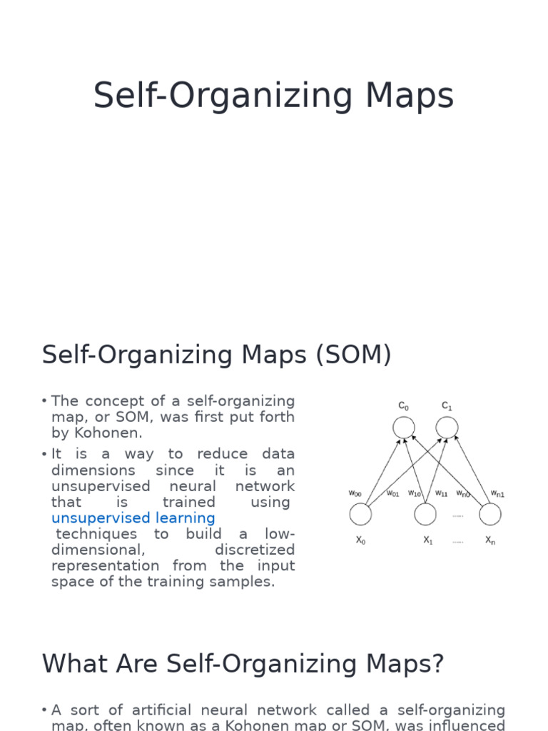 Self-Organizing Maps | PDF | Computational Neuroscience | Learning