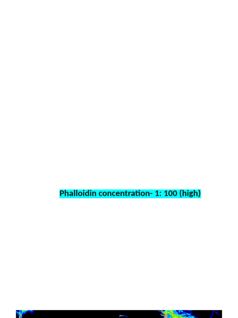 Phalloidin 1-100 | PDF