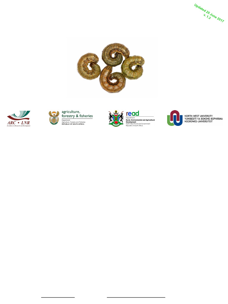 Fall Armyworm Identification Presentation | PDF | Insects | Pest (Organism)