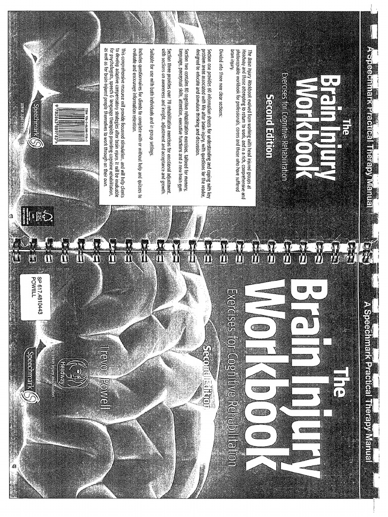 Brain Injury Workbook | PDF