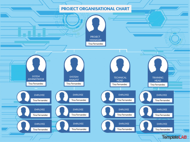 Project Organizational Chart | PDF