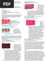 Music & Arts 7: Festivals & Textiles | PDF | Weaving | Textile Arts