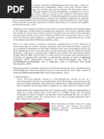 Panay Bukidnon Bamboo Instruments and Gamelan | PDF | Performing Arts ...