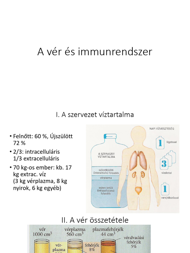 AB-10_Vér- és immunrendszer | PDF