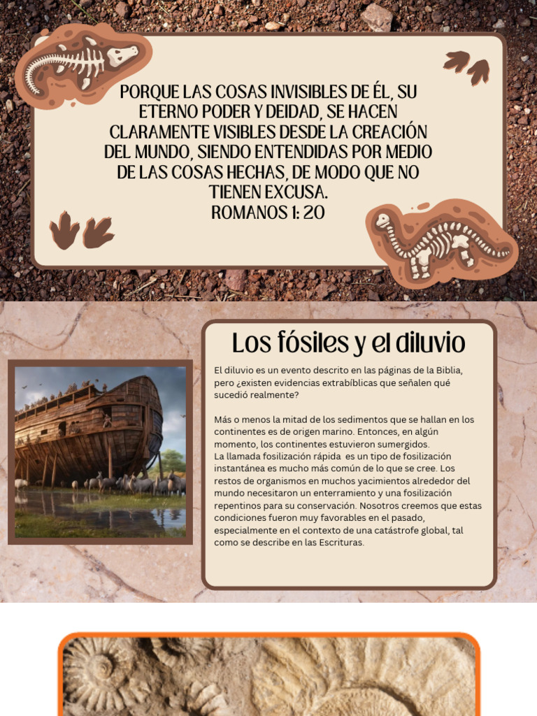 Láminas para El Album de Fosiles | PDF | Fósil