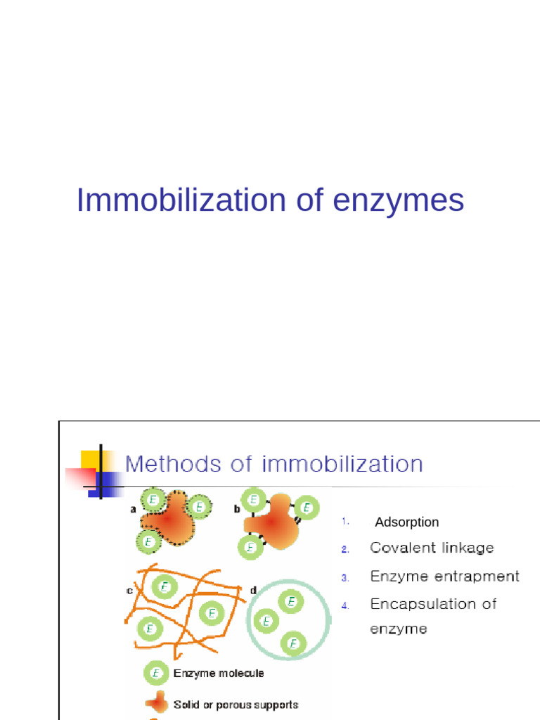 Enzyme immobilization | PDF