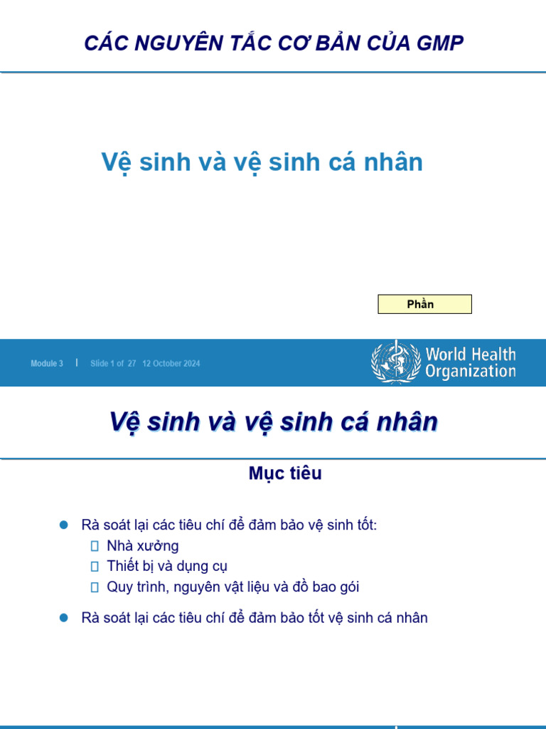 3.M03 - A Sanitation | PDF