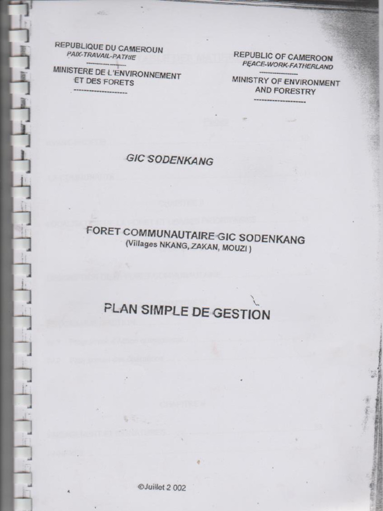 Plan Simple de Gestion 2 | PDF