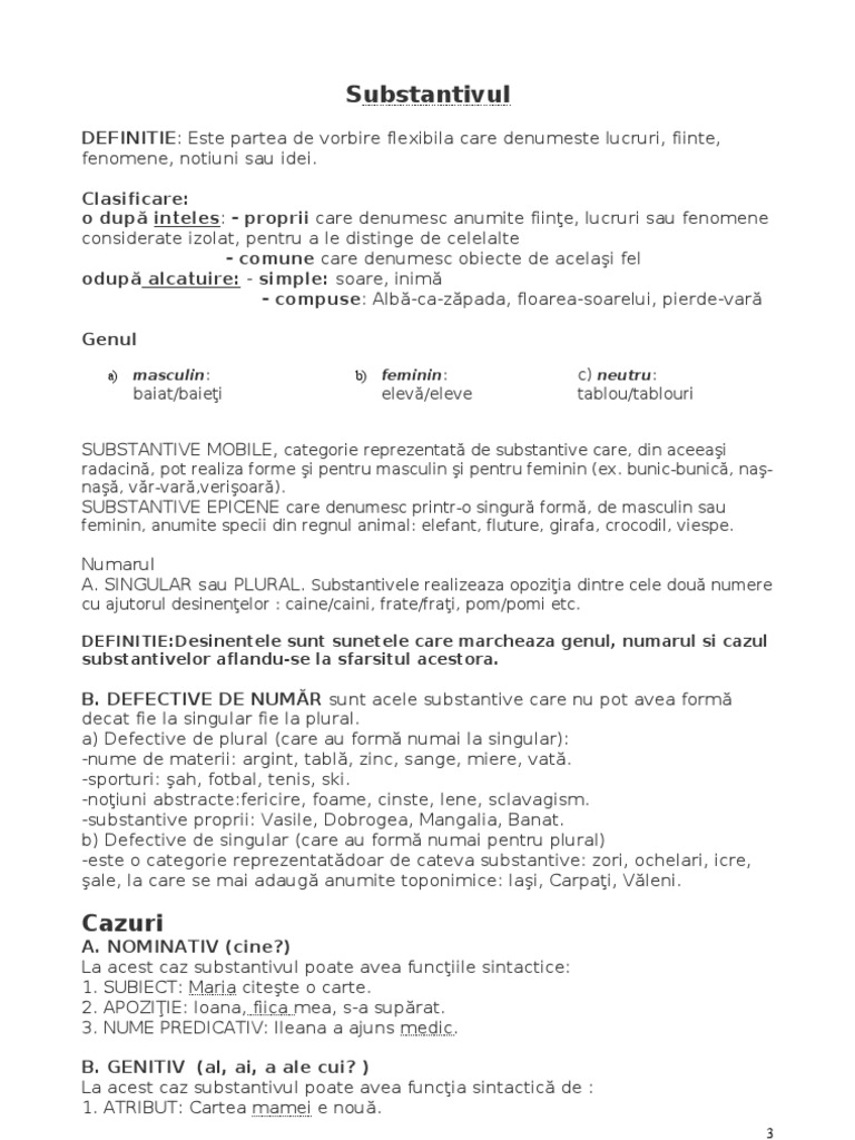 Fisa Portofoliu Substantivul | PDF