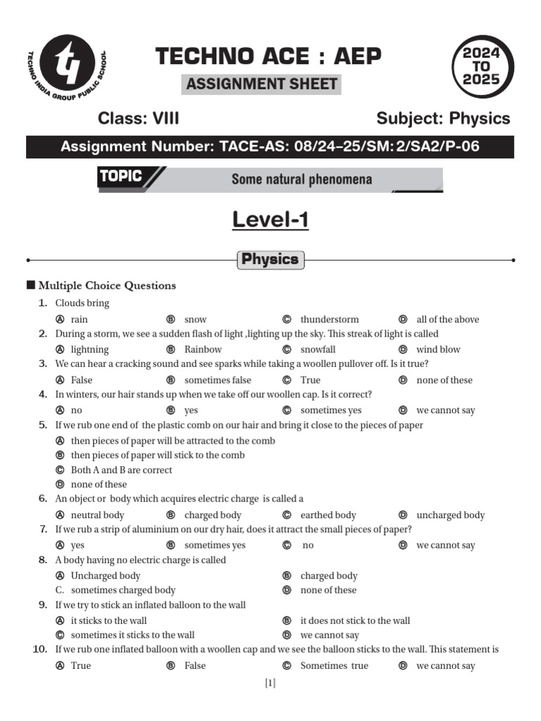 Assignment_MPT-8_VIII_Physics_L1 | PDF | Electric Charge | Lightning