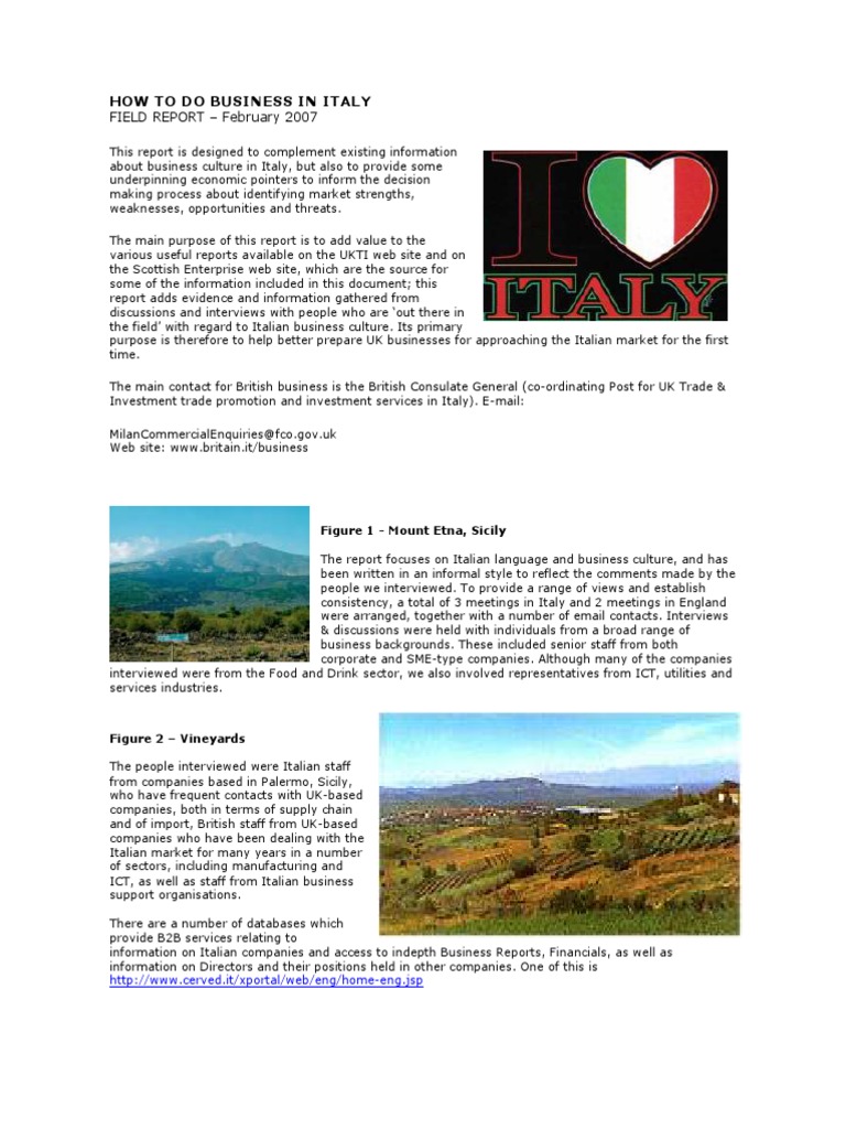 Italian Business Culture Report | PDF | Italy | Language Interpretation