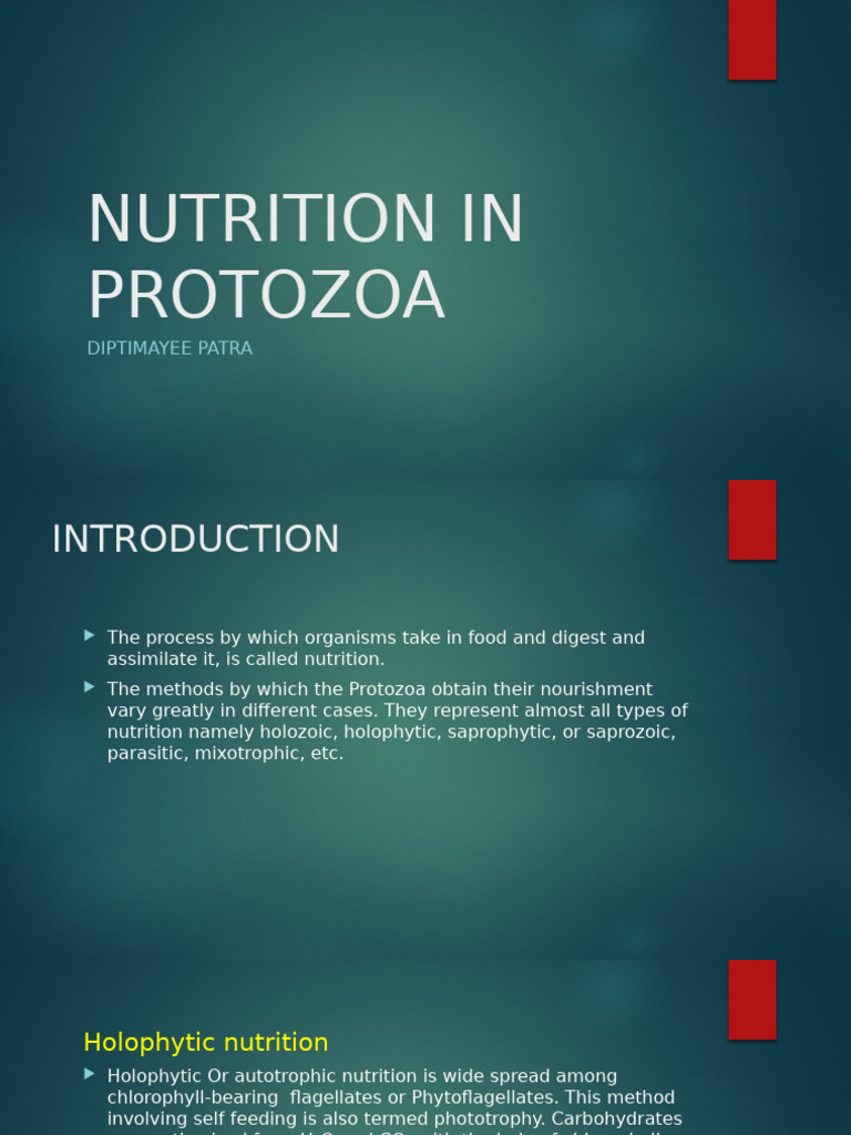Nutrition Modes in Protozoa | PDF | Nutrition | Diet & Nutrition