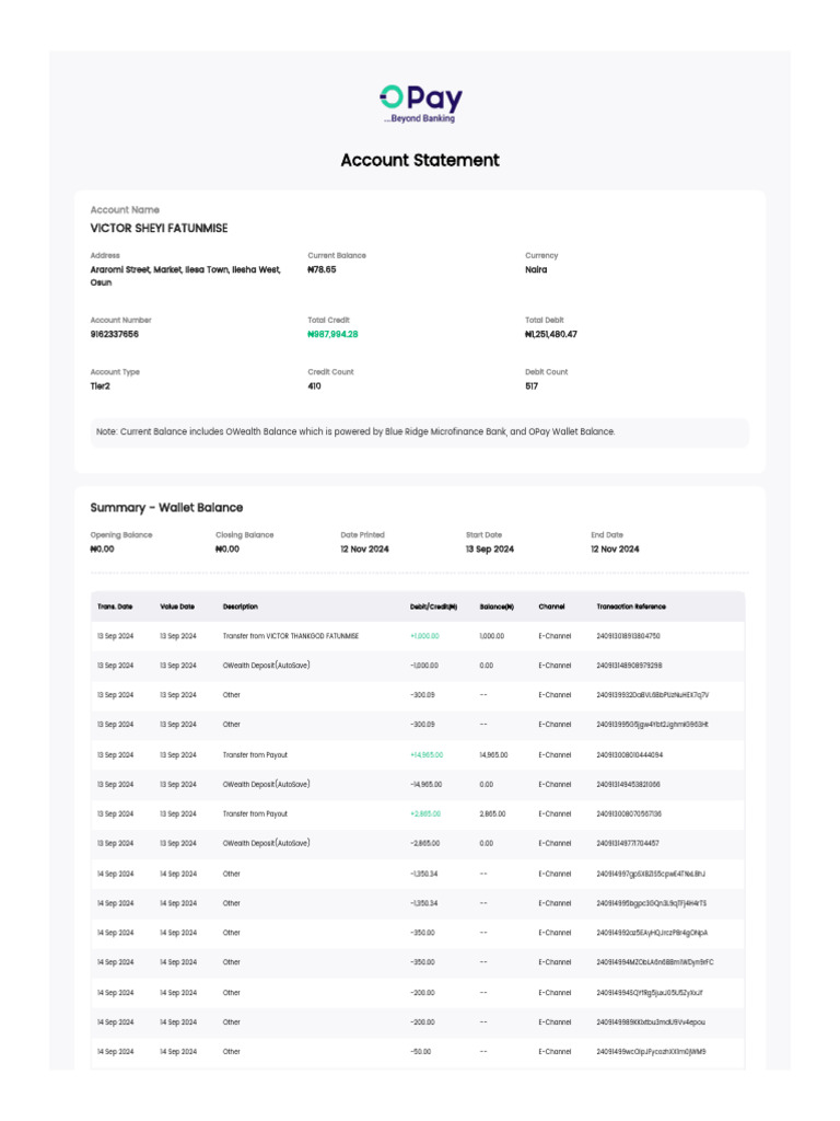 Victor Sheyi Fatunmise - 9162337656 - 20241112202125 | PDF | Debits And ...