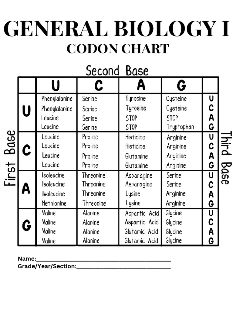 General Biology I Codon Chart | PDF