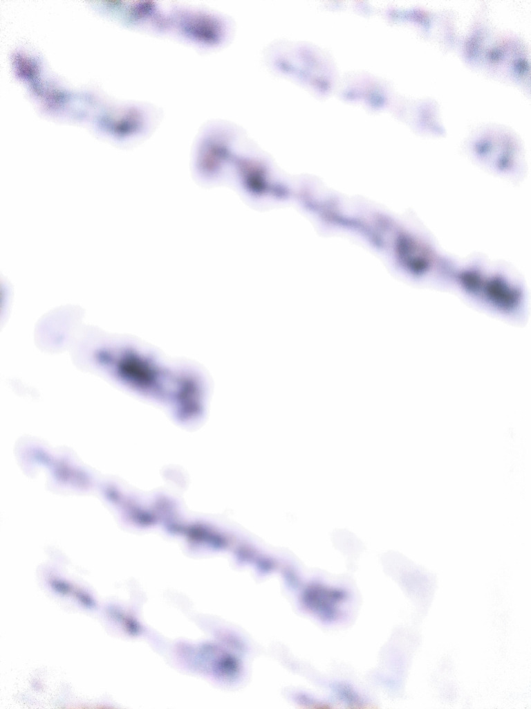 Human Histology Parker | PDF