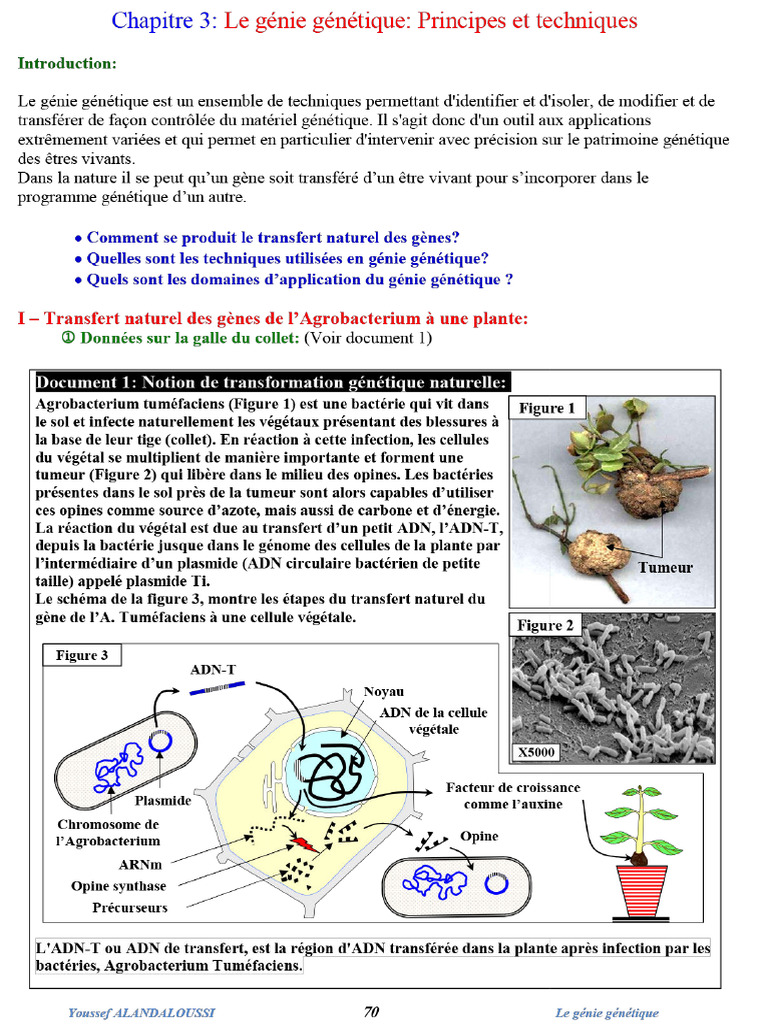 Cours Unit2 3 | PDF