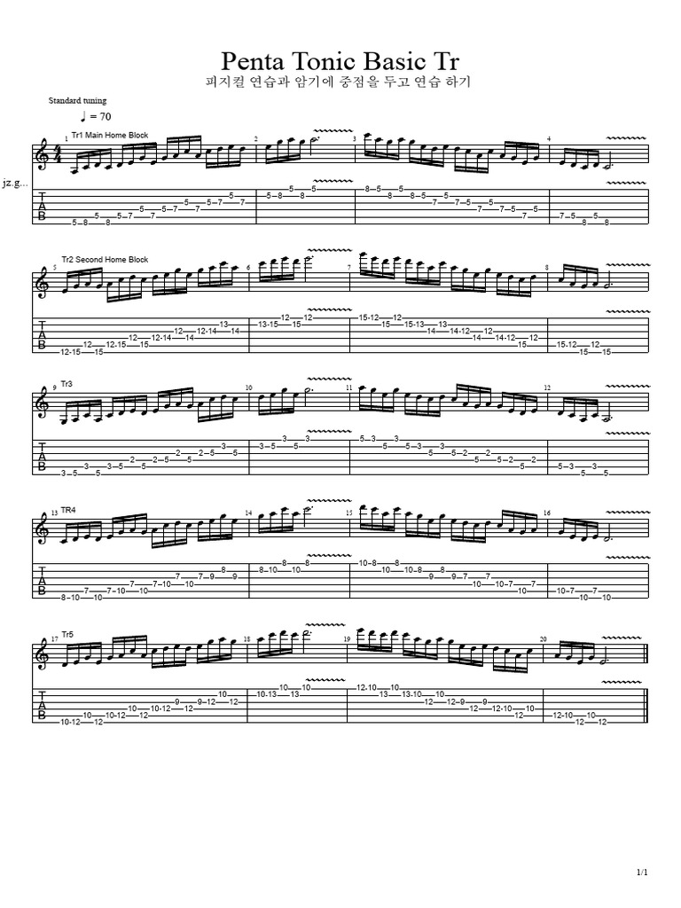 Penta Tonic Basic TR | PDF
