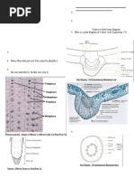 As LEVEL PLAN DIAGRAMS Biology | PDF | White Blood Cell | Cell (Biology)