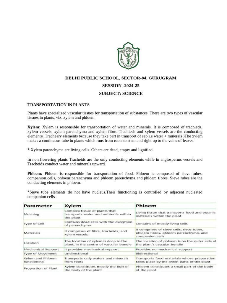 Class 10 Bio Excretion Notes | PDF | Kidney | Anatomy