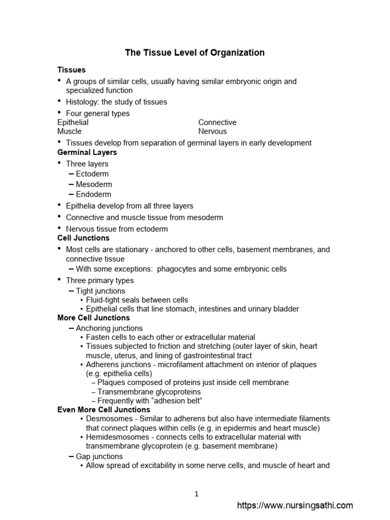 Tissue-Level-of-Organization | PDF | Epithelium | Connective Tissue