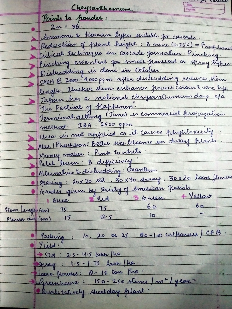 Cascade Festival Overview and Schedule | PDF