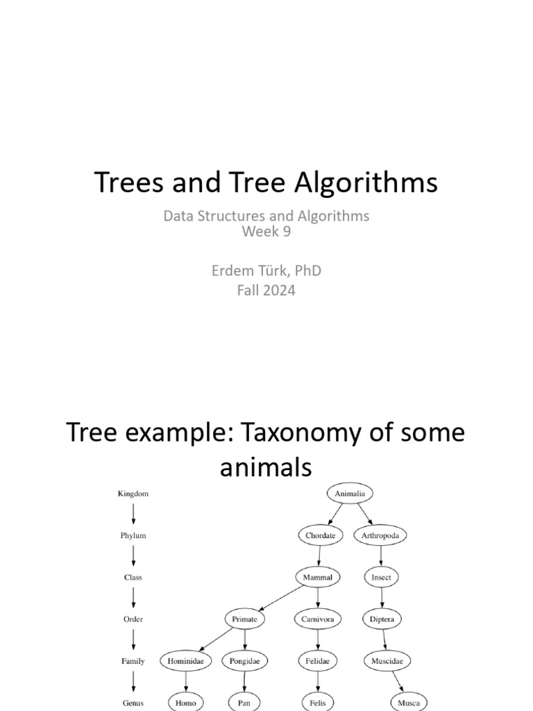 ceng2001_week9 | PDF | Algorithms And Data Structures | Computer Programming